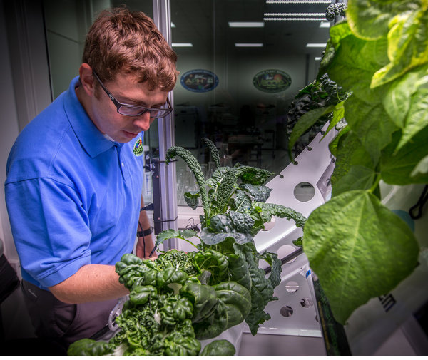 About Hydrocrop About Hydrocrop